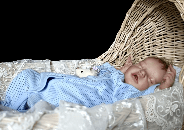 New Reborns 12'' Lydia Realistic Baby Girl Doll Exclusively 2023