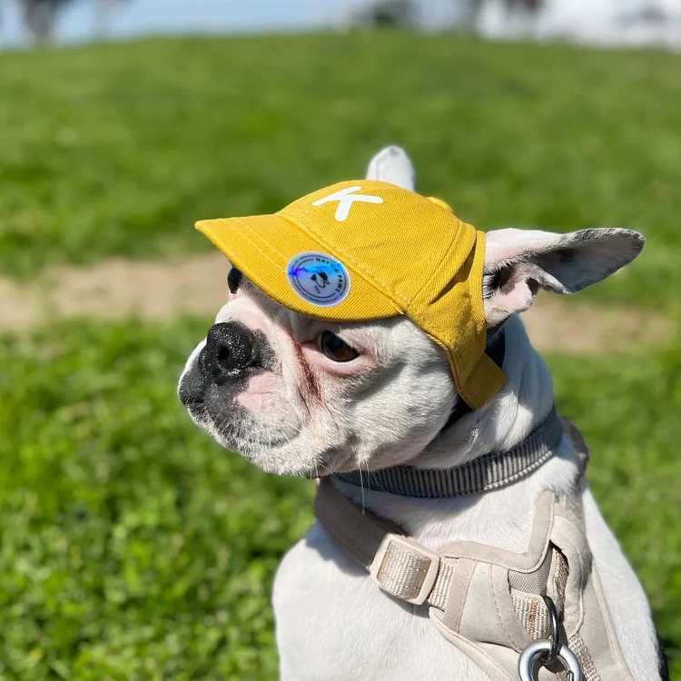 Custom Dog Baseball Cap