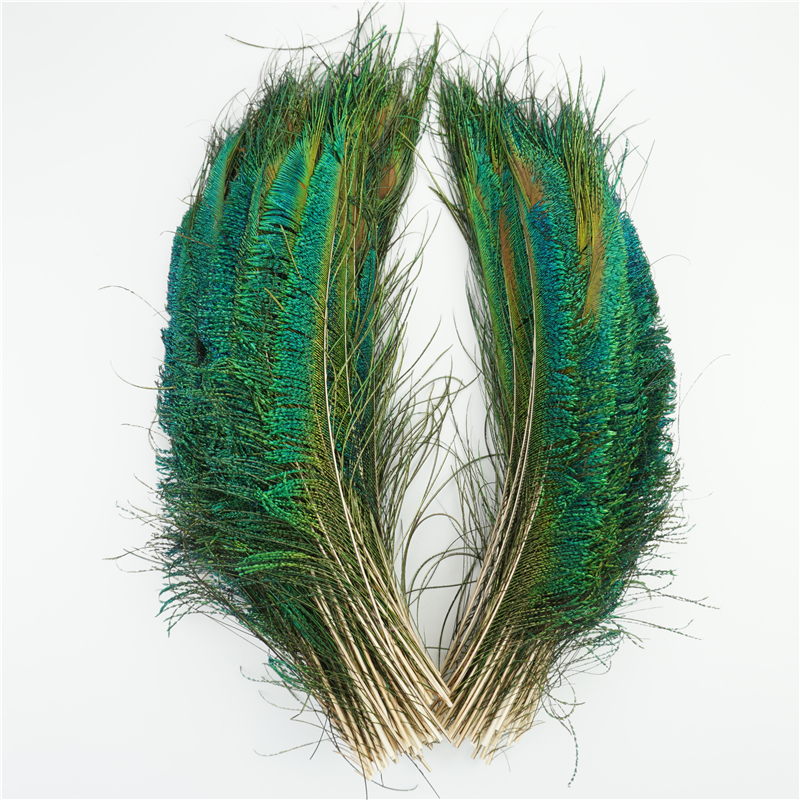 Nigikala Natural Peacock Feathers for Crafts Table Centerpieces ...