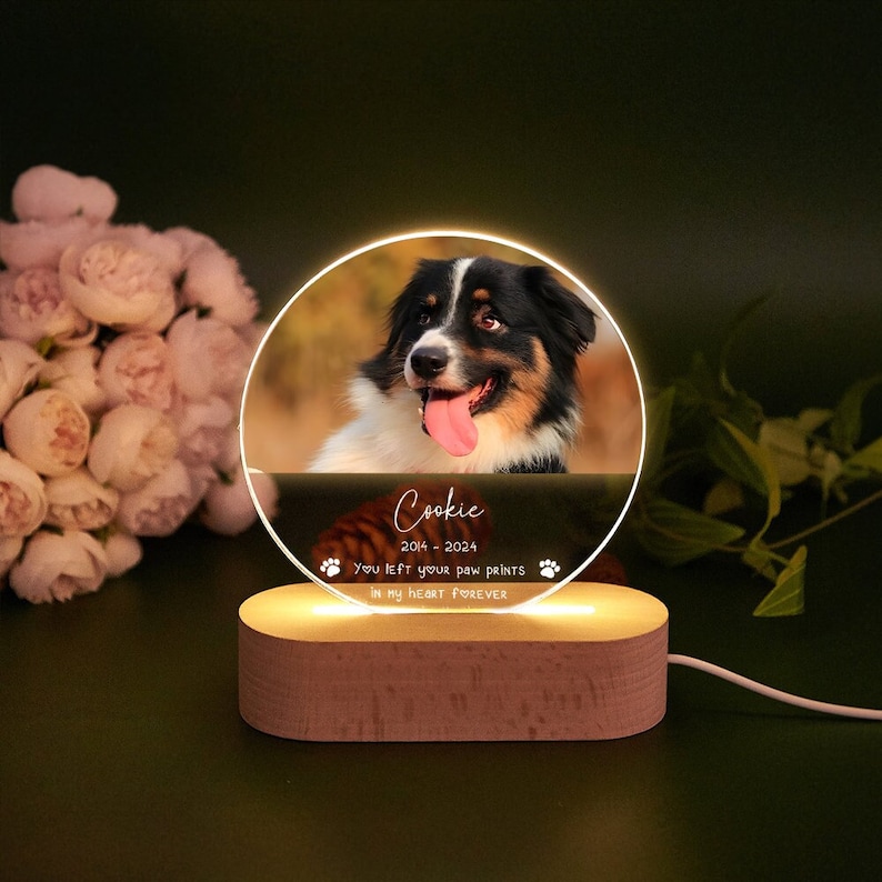 Personalized Pet Memorial LED Night Light,Custom Pet Loss Frame,Pet ...