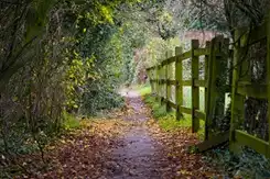 Sueño y Azúcar en Sangre 2025: Cómo el Mal Descanso Afecta la Glucosa