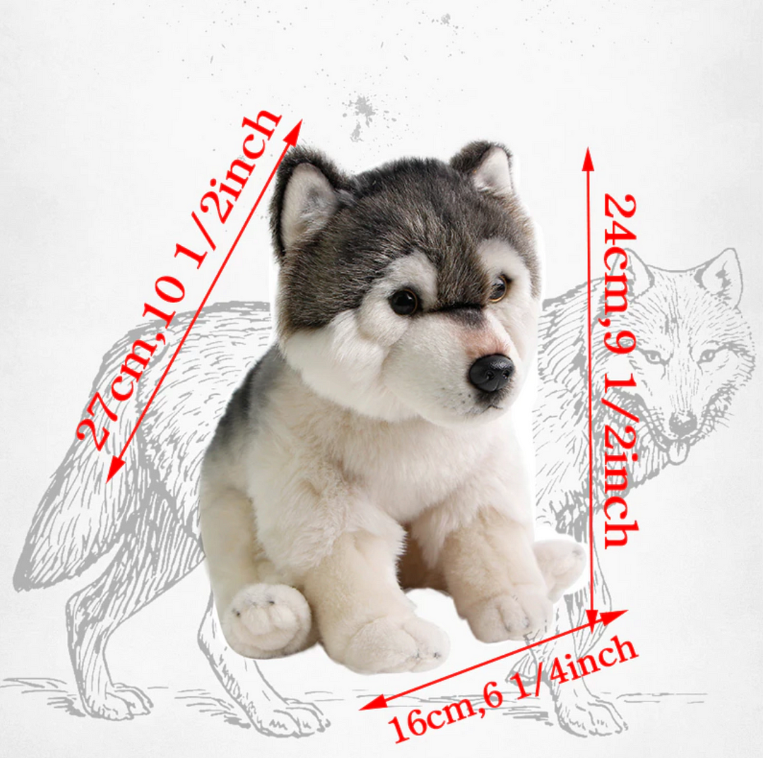 Adopt A Wolf - Shadow The Wolf