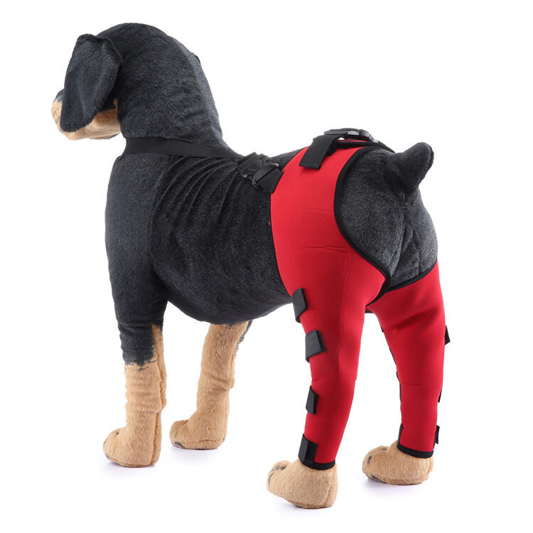 Dog Hip Support For Hip Dysplasia For Back Leg Dog Brace With Safety ...