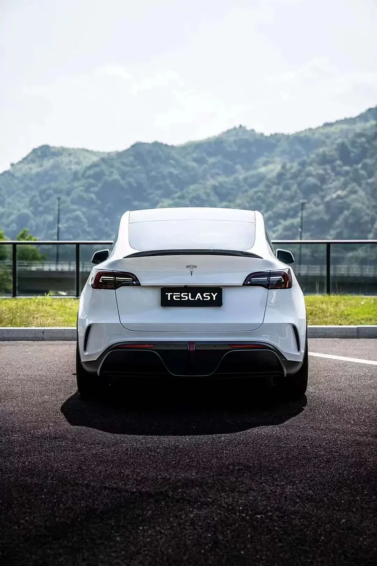 Tesla Model Y Premium Tuning Starship Body kit | TESLASY