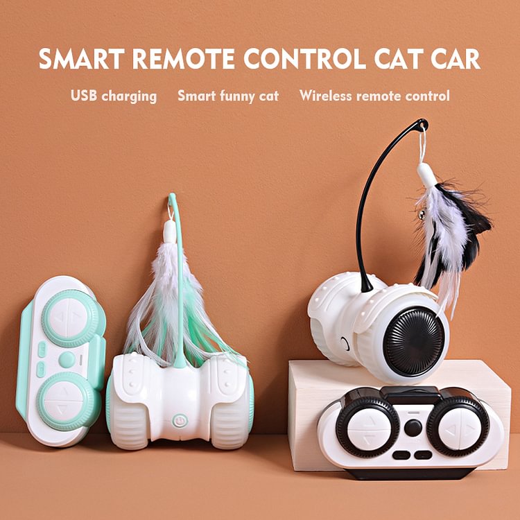 Smart LED Luminous Remote Control Car Teasing Cat Toy