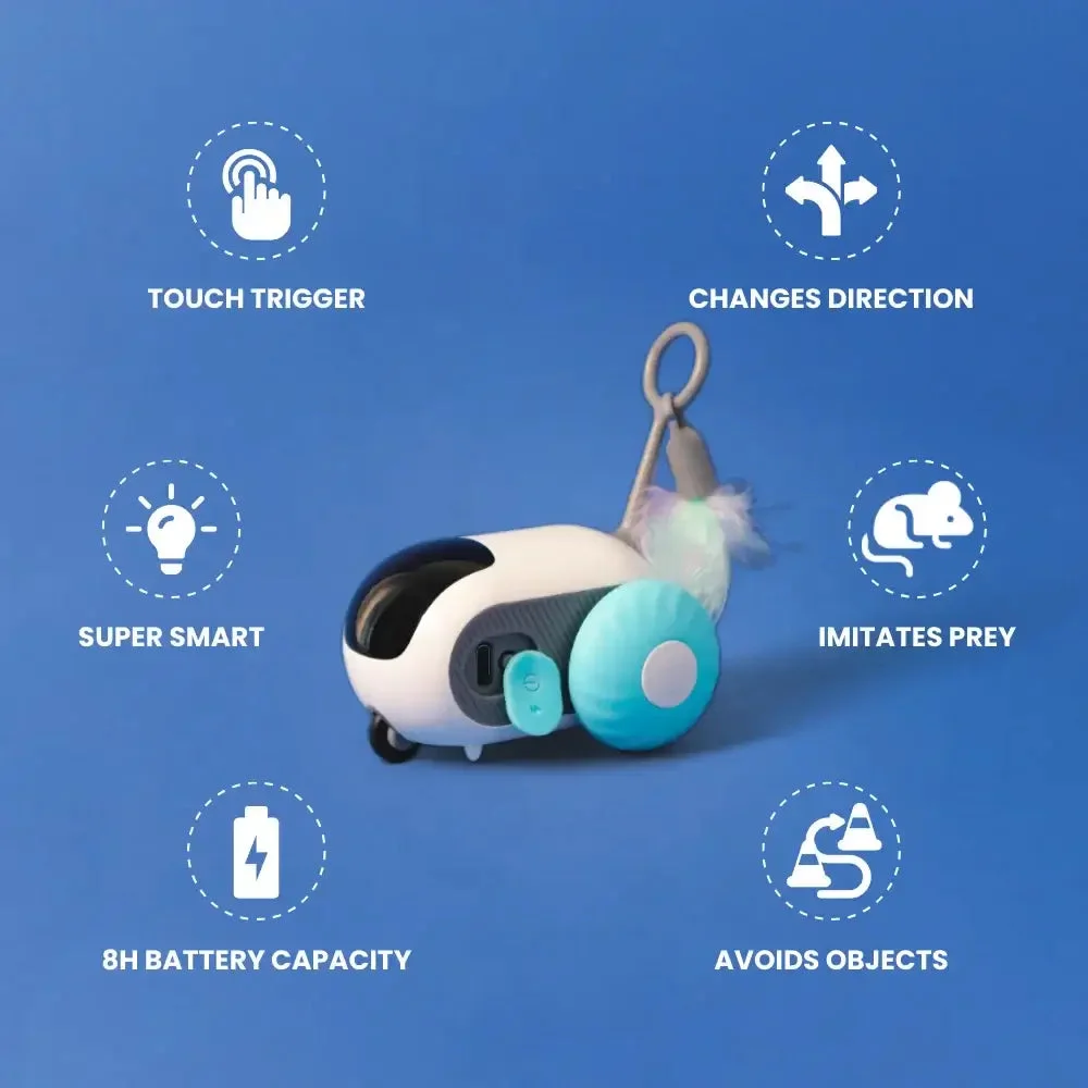 Cat Toys Running Car Remote Control Cat Toys