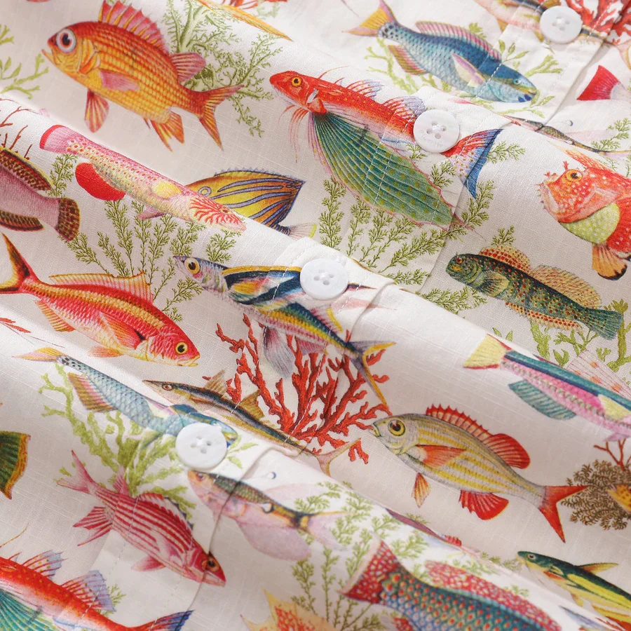 Lively Fish Will Transport You To Warm