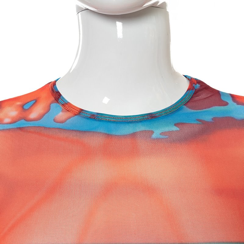 MULTICOLOR PRINT MESH LONG SLEEVE TOP