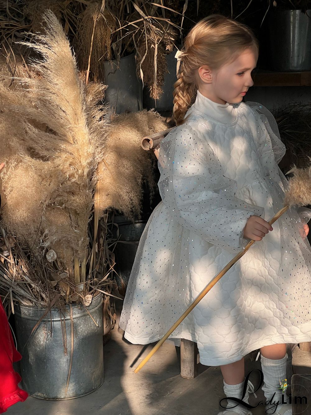 Padded velvet puff sleeves mesh dress - Ladylim