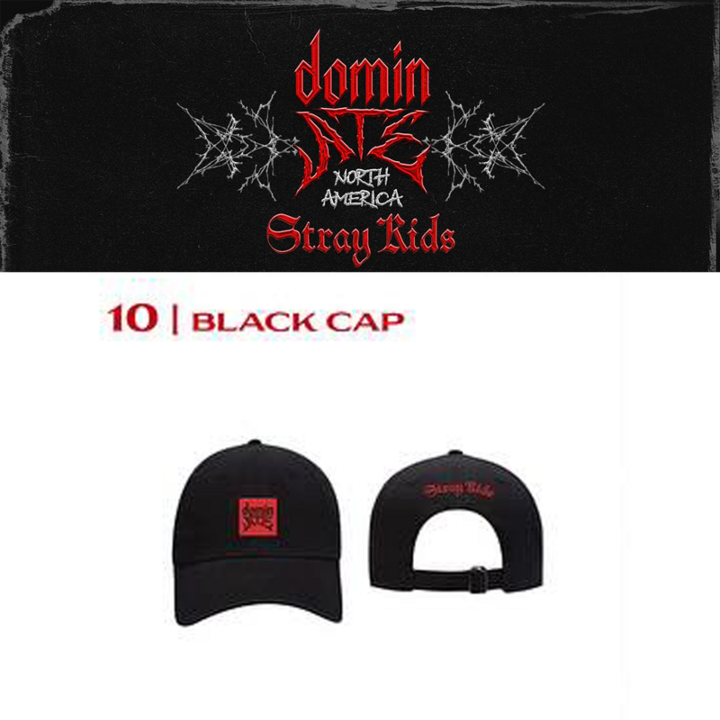 2025 STRAY KIDS EUROPE DOMINATE TOUR MERCH