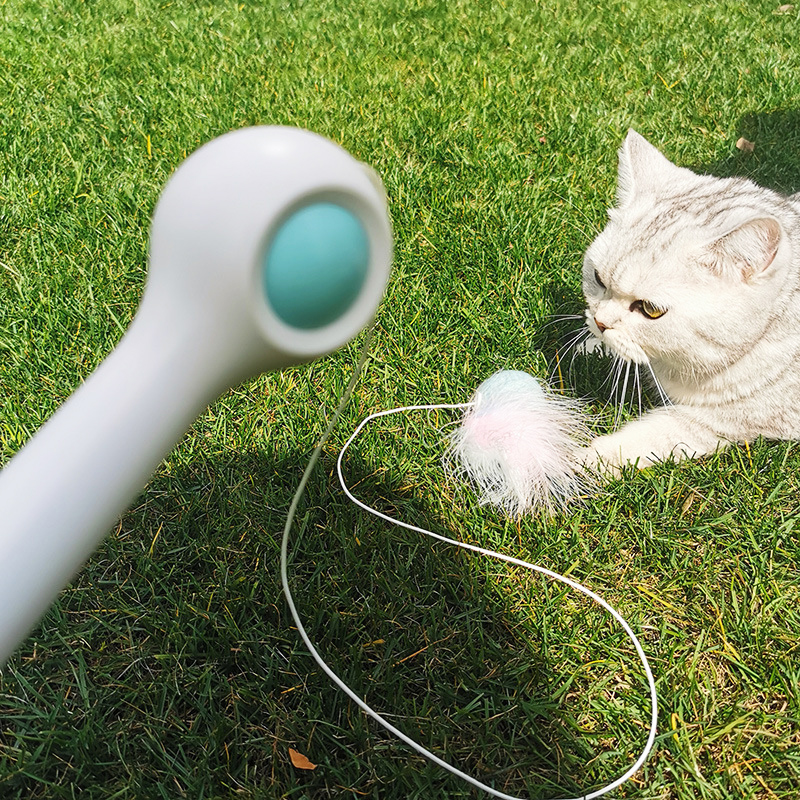 Retractable Cat Teaser With Bells