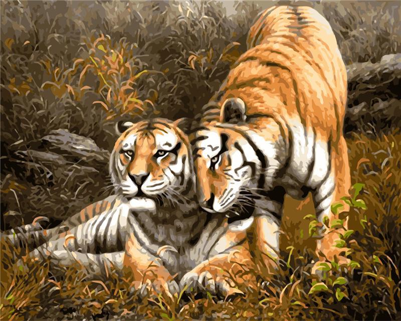 DIY Painting By Numbers | Tiger