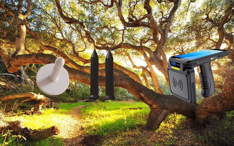 RFID Tree Management