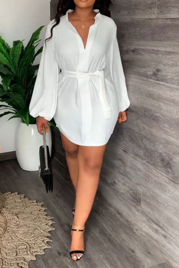 Solid Color Simple Belted Mini Dress