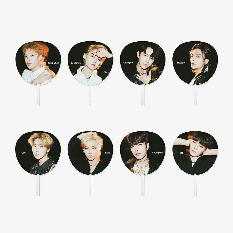 Stray Kids JAPAN 2nd Single Scars IMAGE PICKET