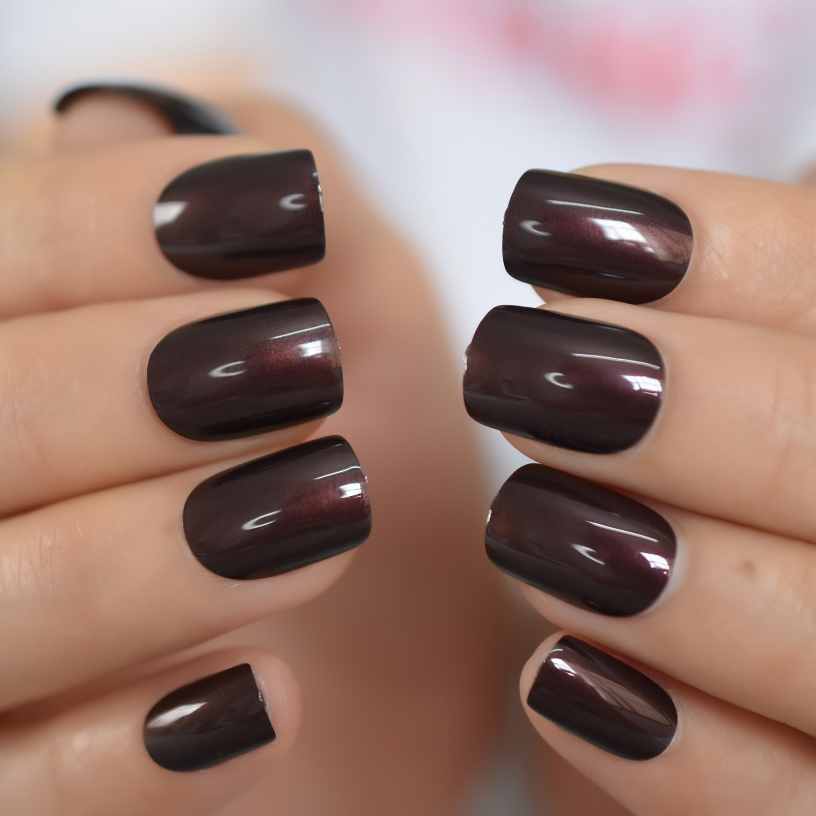 Churchf Glossy Short Square Press On Nails 24 Pc Nails Set Dark Brown ...