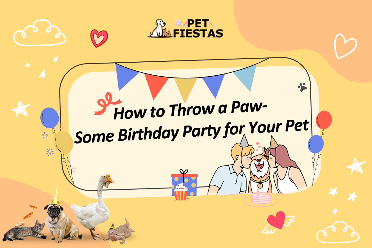 How to Throw an Unforgettable Pet Birthday Party? (With Custom Gift Ideas!)