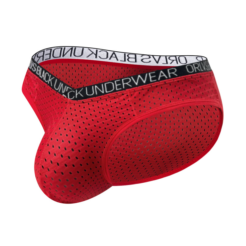 Men's Fashion Sexy Mesh Breathable Stretch Briefs