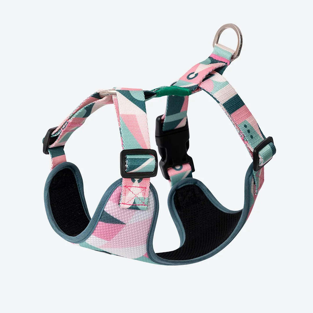 Vibrant Colorblock Harness & Leash Walk Kit