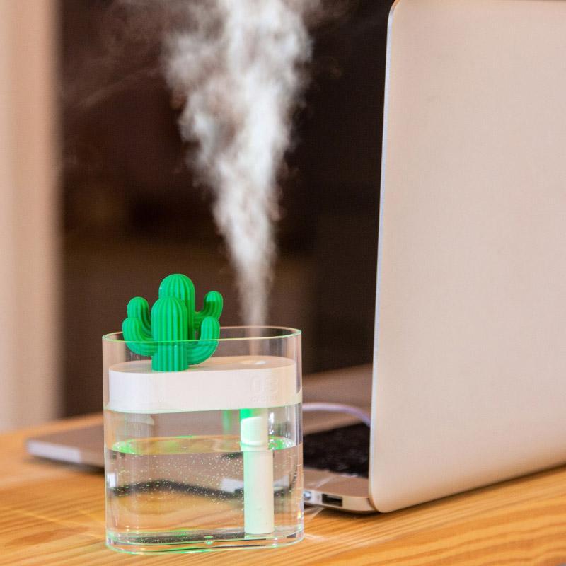 Modern Cactus Humidifier