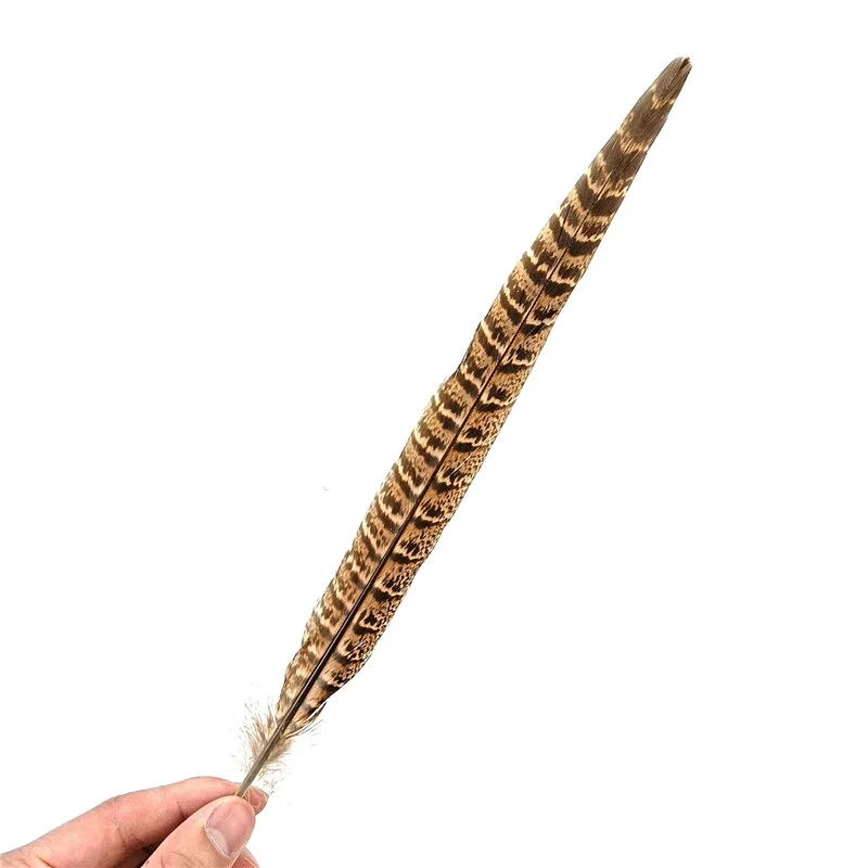 Nigikala Female Pheasant Tail Feathers for Crafts 25-30cm Natural ...