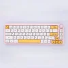 Honey Bee PBT Keycaps