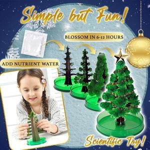 Magic Growing Christmas Tree