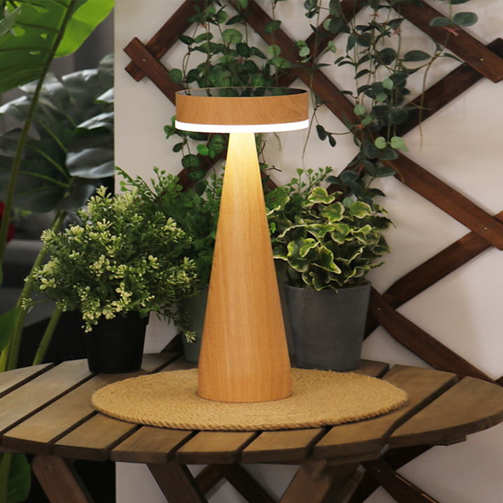 Multi-functional Solar Powered Table Lamp - Reverse Charge Night Light ...