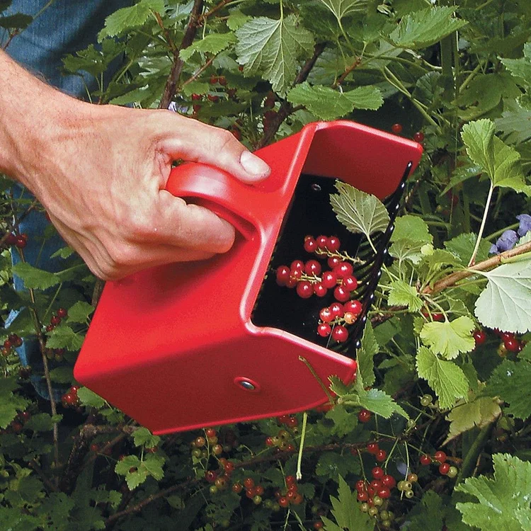 Berry Fruit Pickers Metallic Comb Blueberry Rake Scoop 24x14cm for ...