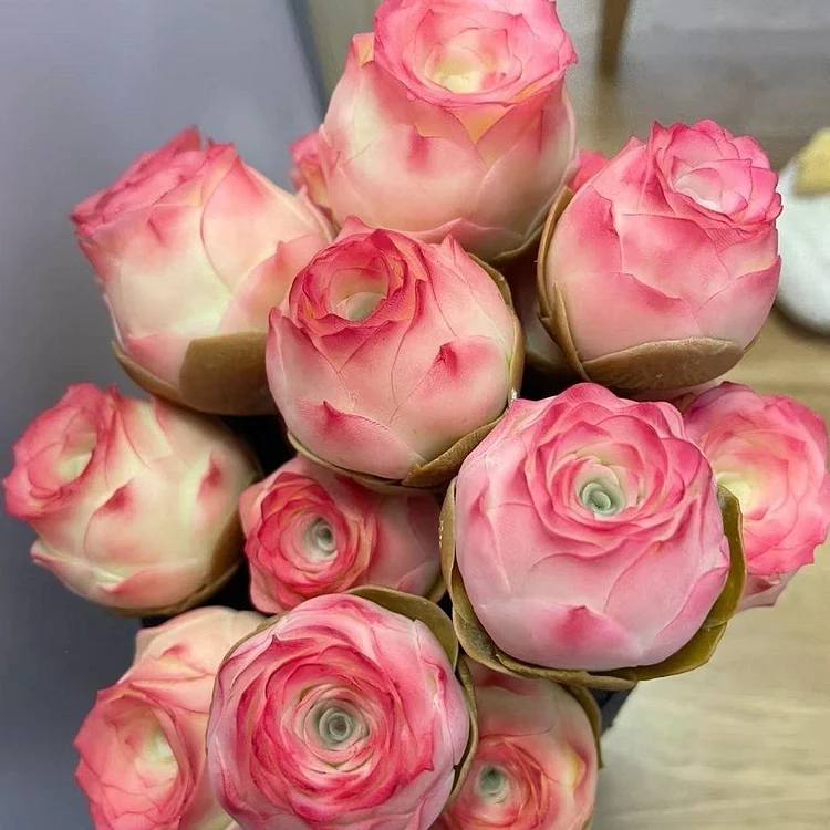 Mountain Roses Seeds (Greenovia)-Rare pink succulent