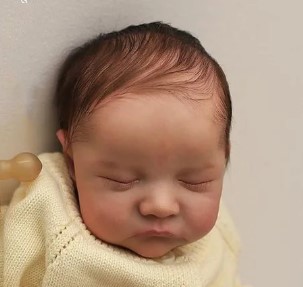 18 Levi Girl Reborn Baby Doll