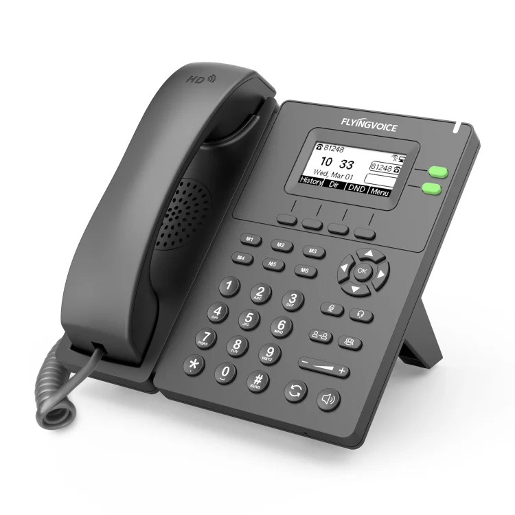 P20P Dual-line Business IP Phone