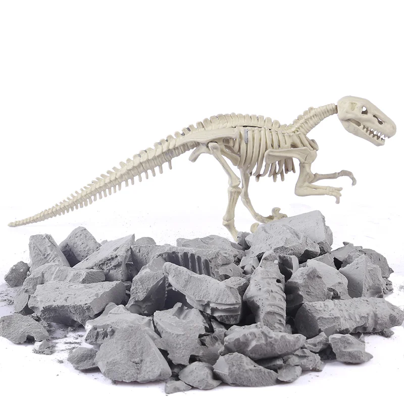 Educational Dinosaur Fossil Excavation Toys