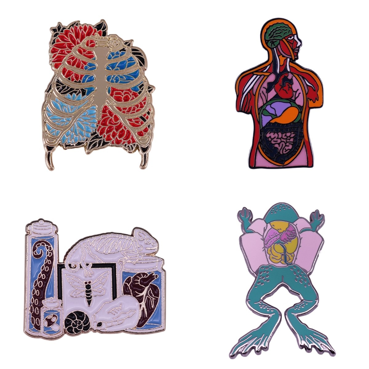 Medical Deconstructed Human Frog Ribs Chest Heart Enamel Pin Lapel ...