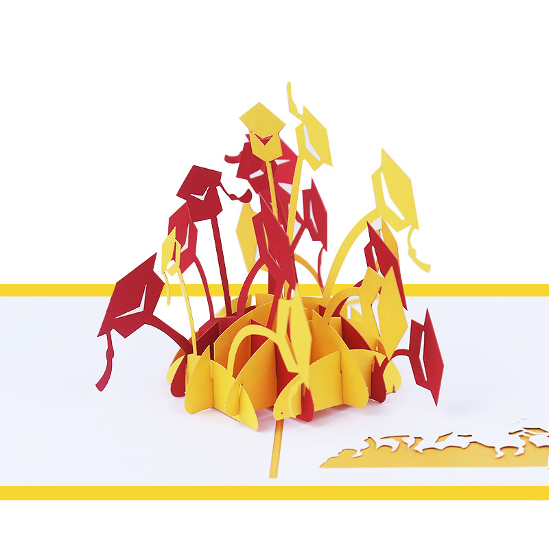 Graduation Pop Up Card