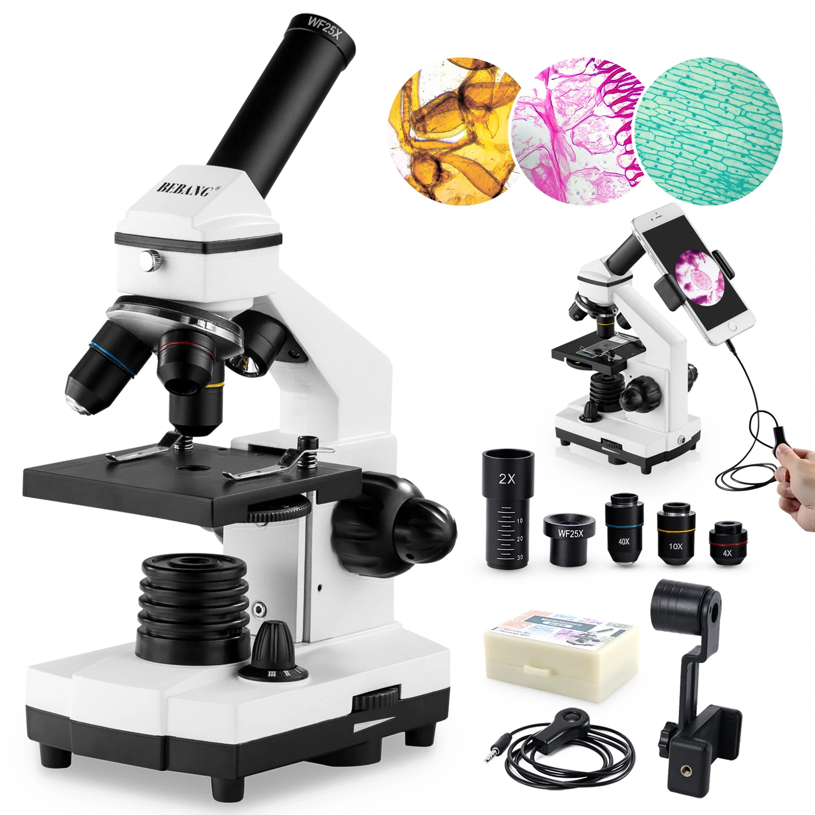 Microscope for Adults Kids, 100X-2000X BEBANG Compound Microscope with ...