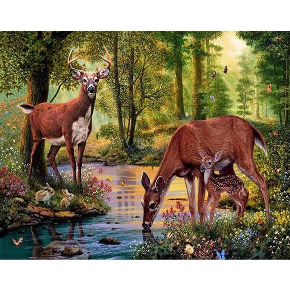 DIY Painting By Numbers | Elk