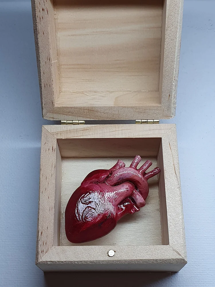 My Heart In A Box. Valentines day or anyday gift small human heart ...