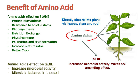 🌿Plant Nutrient Solution💚 Compatible with all types of plants👍 - Gpmsign