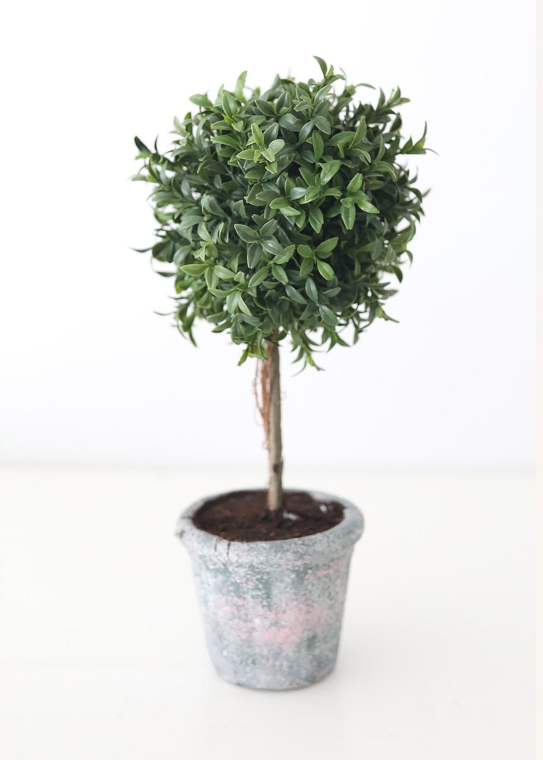 Fake Tea Leaf Topiary Plant - 18"