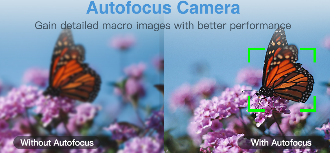 DC4 &DC3 Camera: How to Use AutoFocus Function