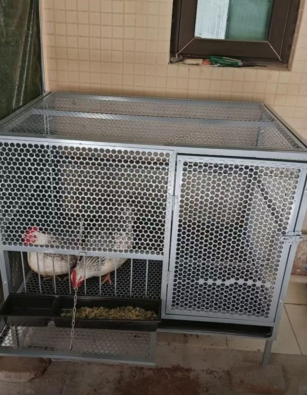 Portable Foldable Large Chicken Coop Runs Poultry Cage for Yard ...