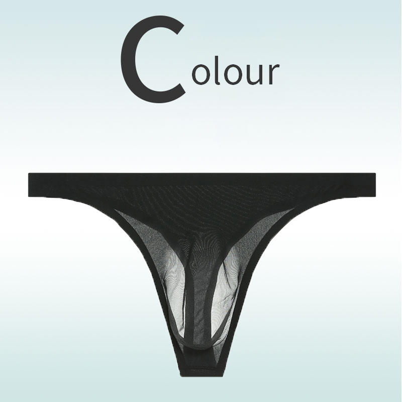 Low Rise Sexy Ice Silk Transparent Ultra Thin Seamless Thong