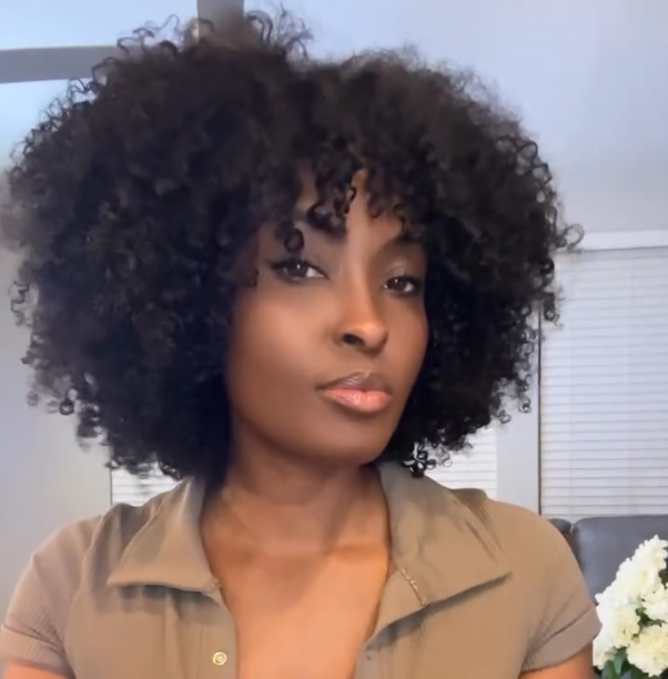 Fluffy Lace Wig Bob Curly Wig Wig Human Hair Wig