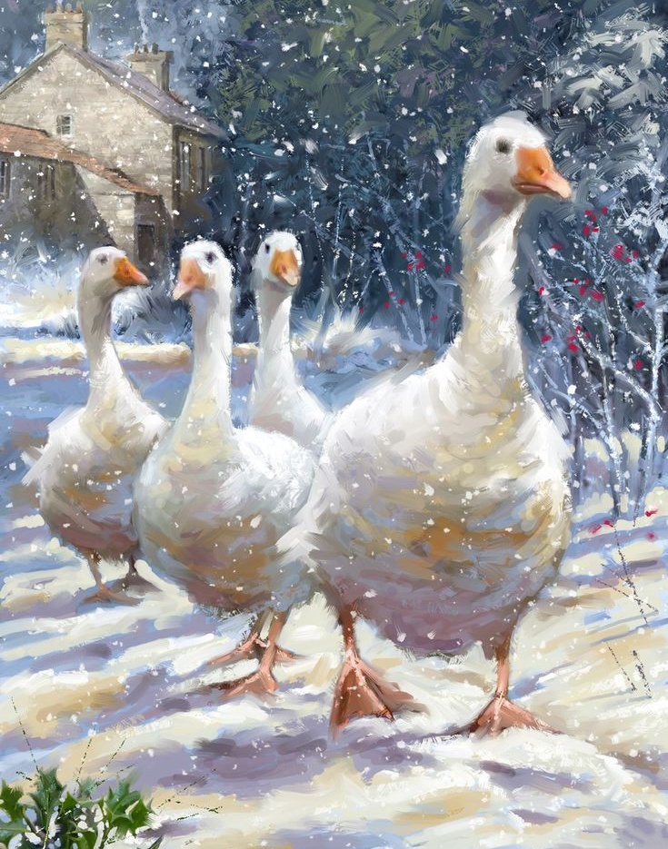 DIY Painting By Numbers | Goose - 40*50cm