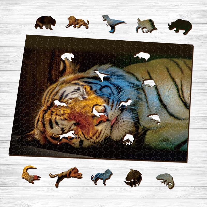 Sleepy Tiger Puzzle