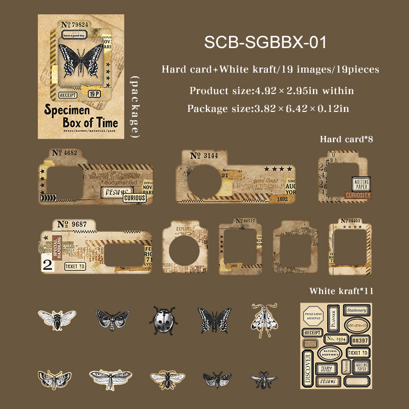 Material Paper - Specimen Box of Time Series Vintage Butterfly Hollow ...