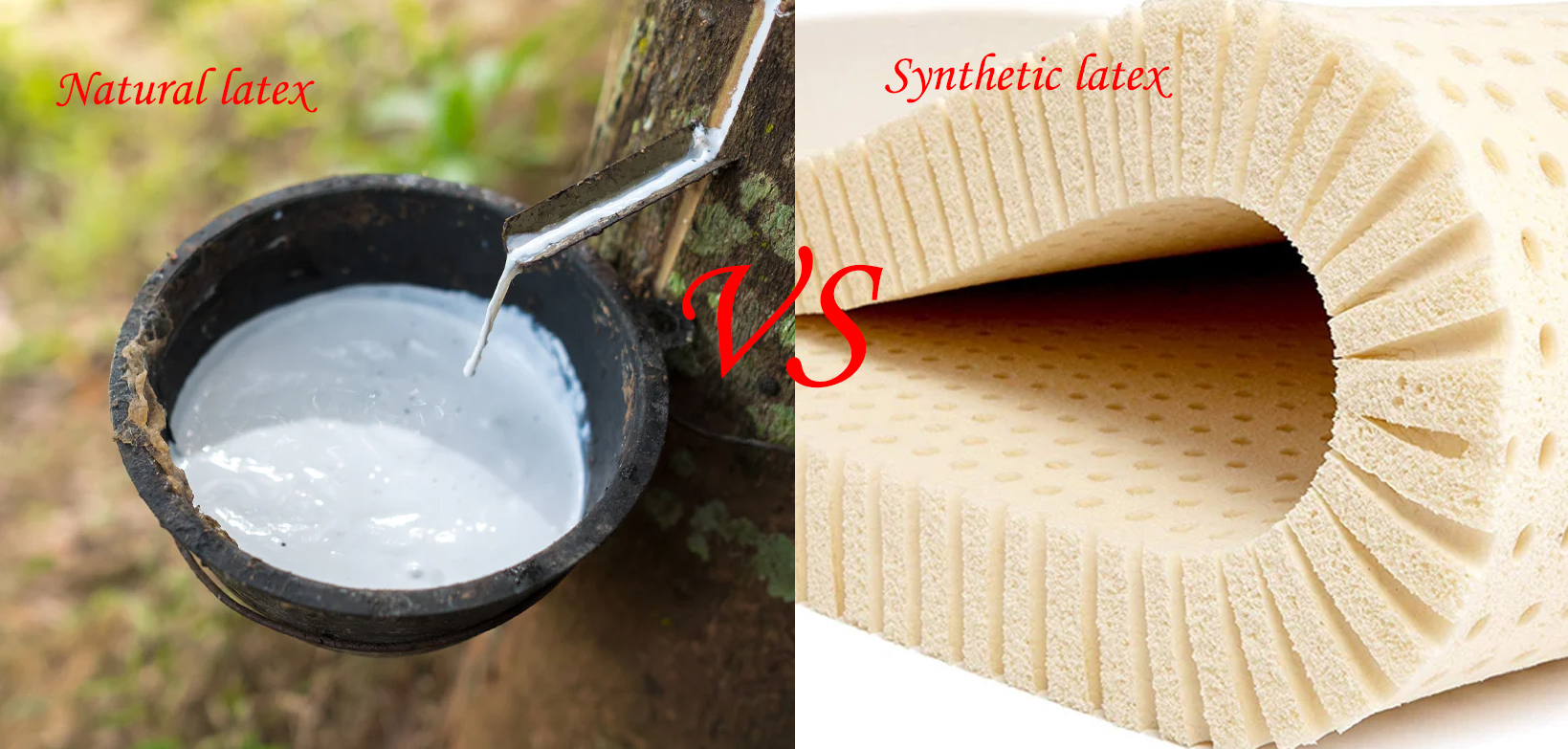 Natural Latex Clothing vs Synthetic Rubber Clothing: Which is Better ...