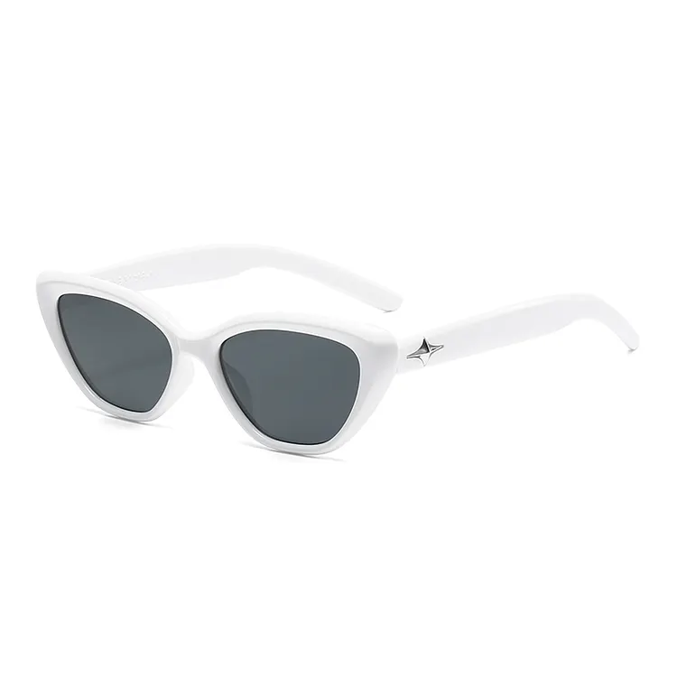 Cat Eye Women Luxury Sunglasses Vintage Eyewear Personalized Female ...